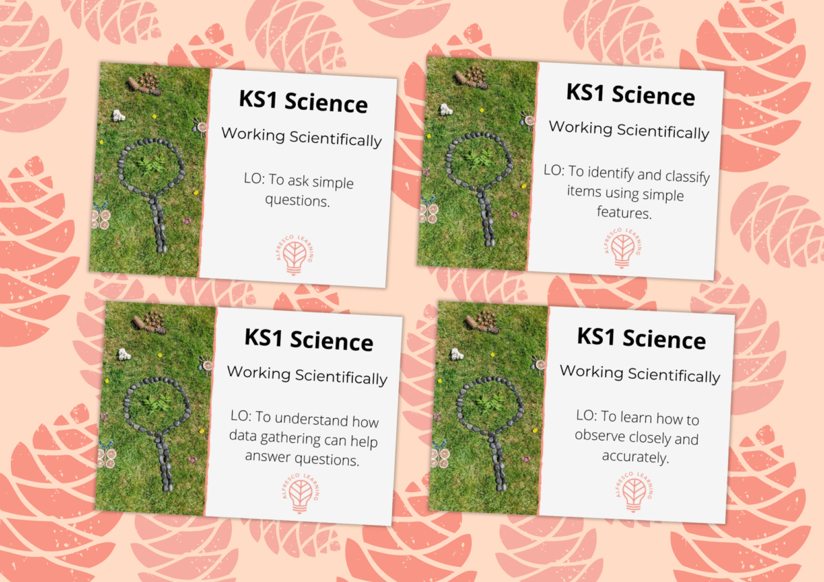 KS1 Science - Working Scientifically - Alfresco Learning
